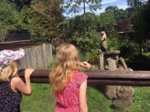 Zoo School and Zoo Academy - Reaseheath Zoo