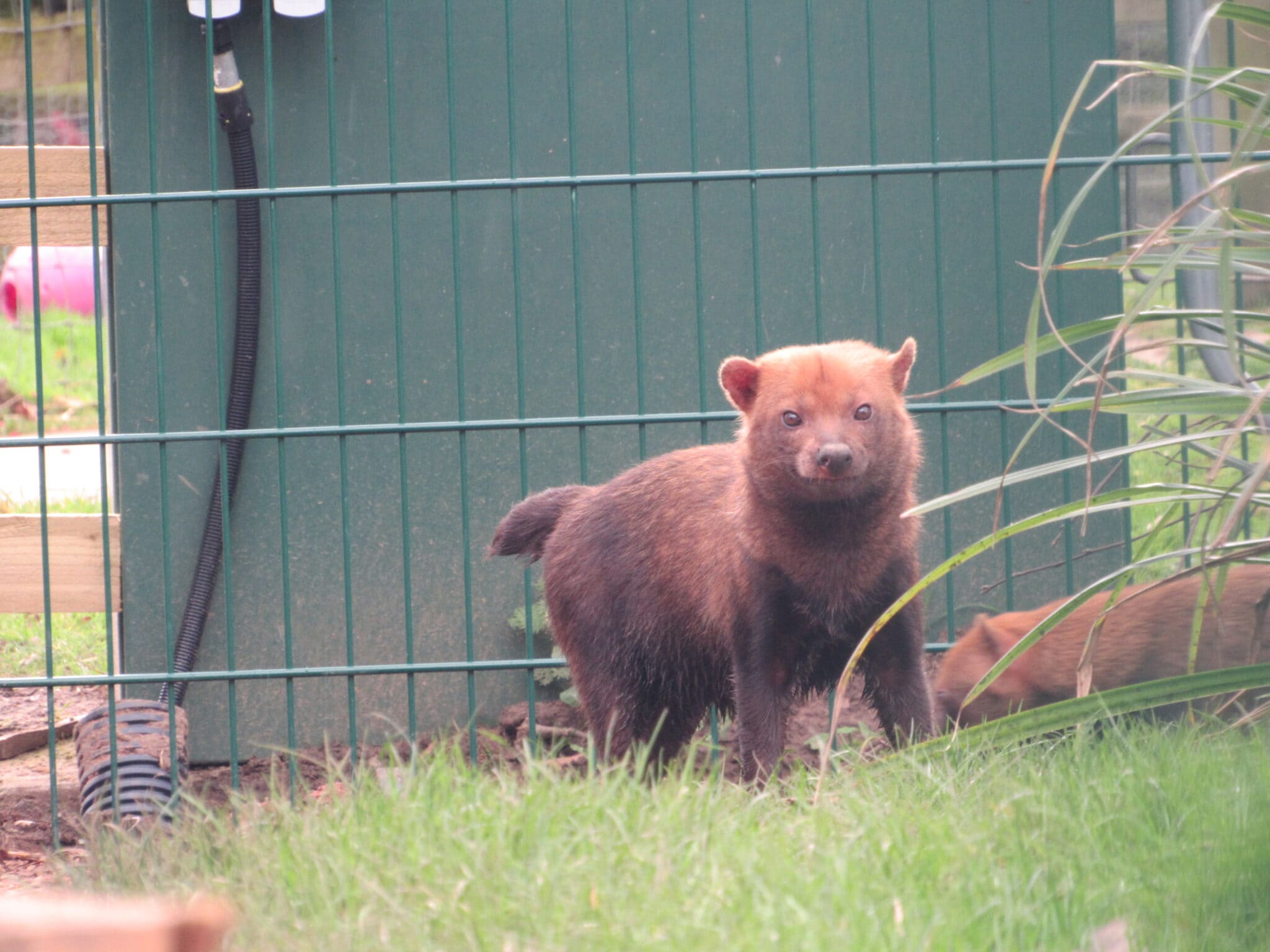 Conservation - Reaseheath Zoo