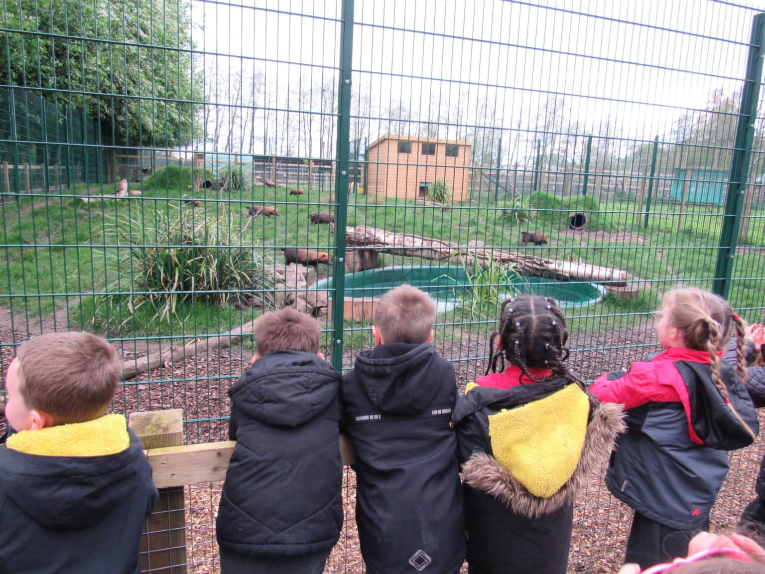 Conservation - Reaseheath Zoo