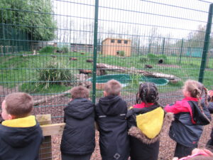 Conservation - Reaseheath Zoo
