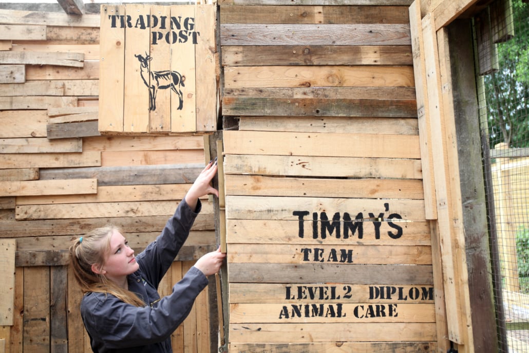 Students Build Stylish Accommodation For Mongooses Reaseheath Zoo