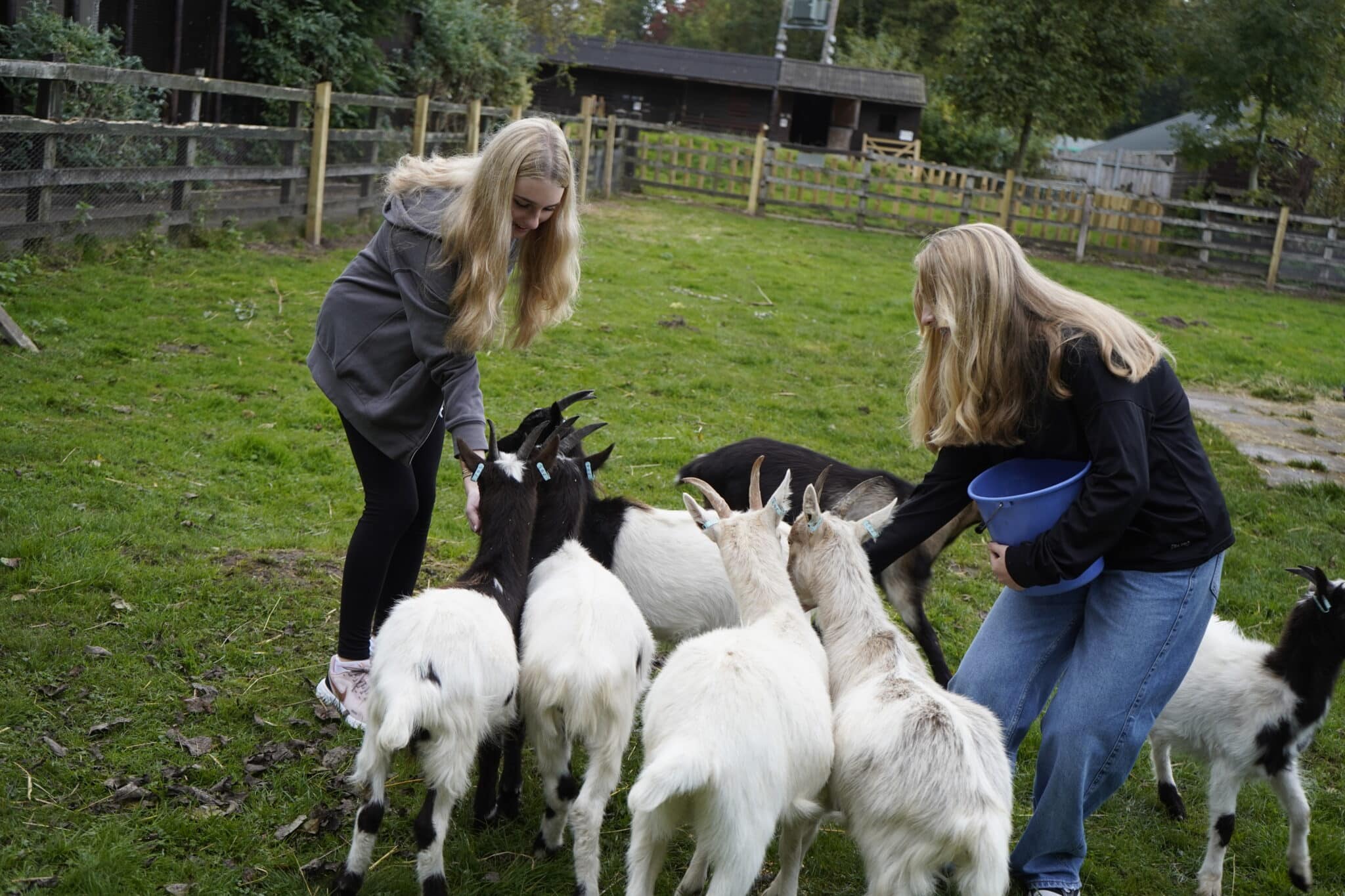 Experiences and encounters - Reaseheath Zoo