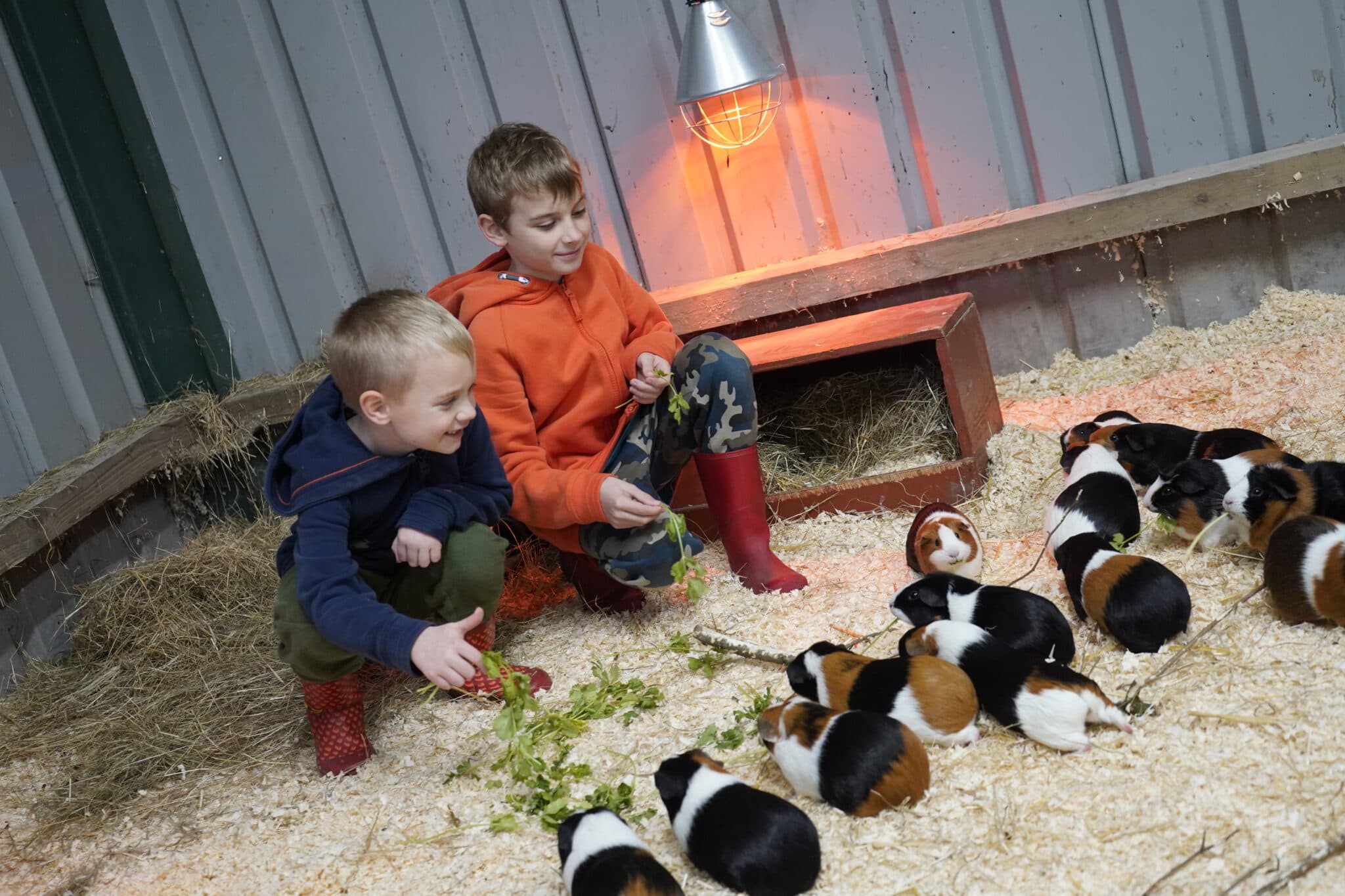 Experiences and encounters - Reaseheath Zoo