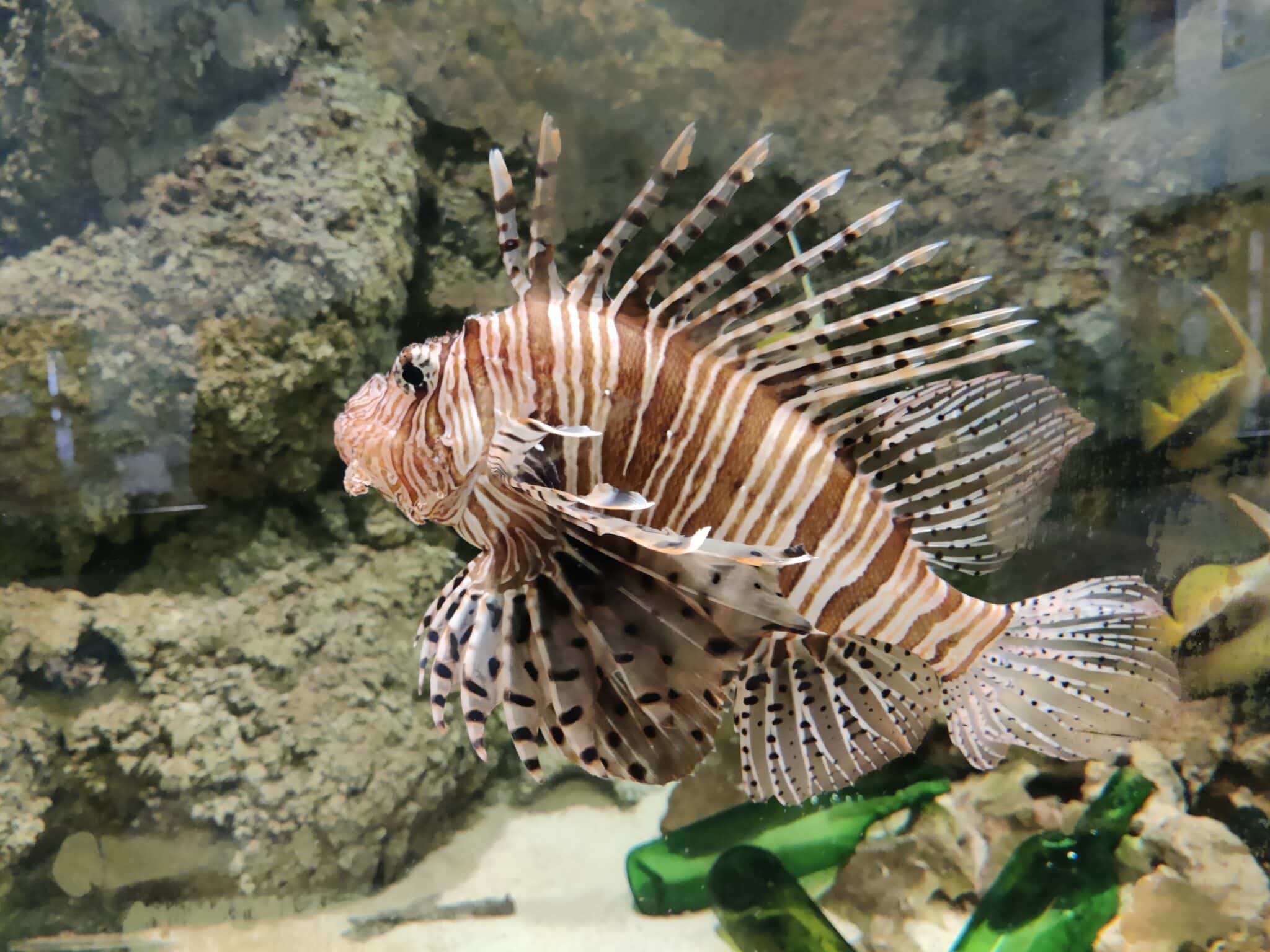 Contact us - Reaseheath Zoo