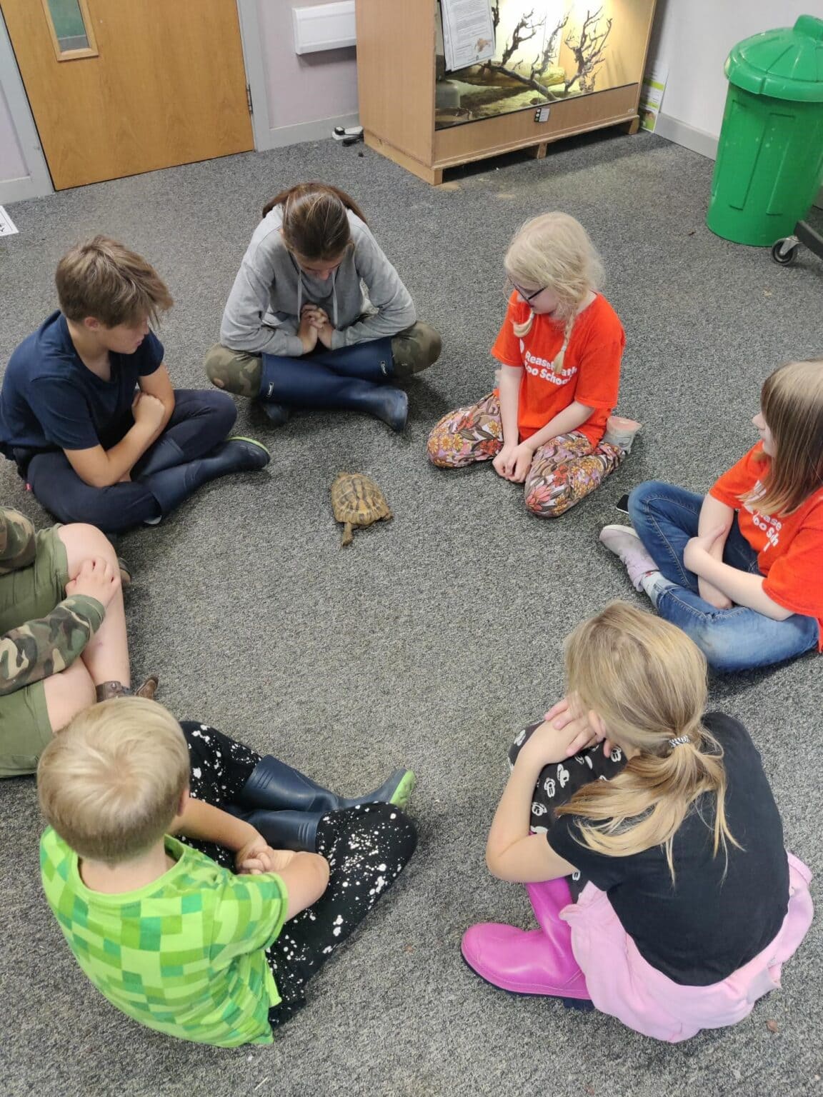 Experiences and encounters - Reaseheath Zoo