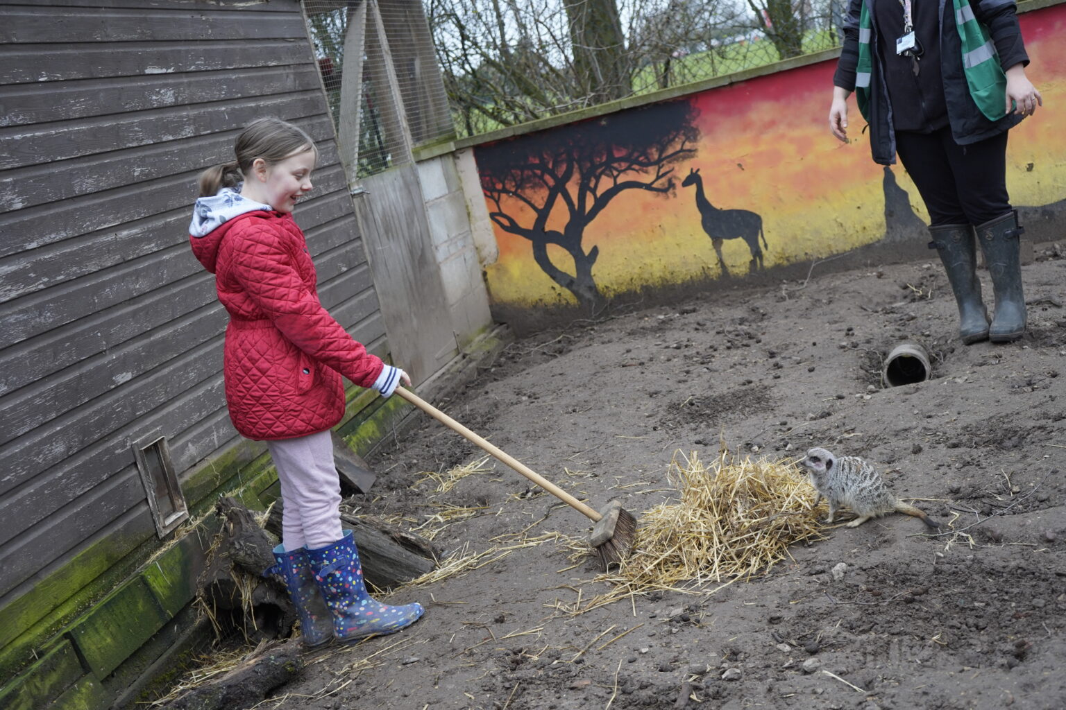 Experiences and encounters - Reaseheath Zoo