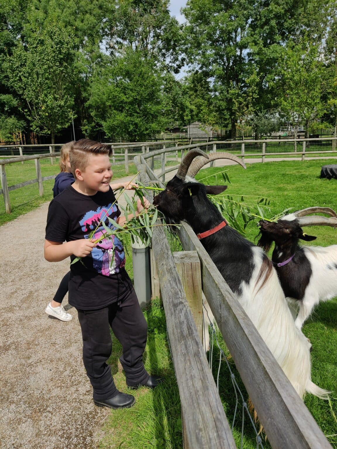 Zoo School And Zoo Academy Reaseheath Zoo
