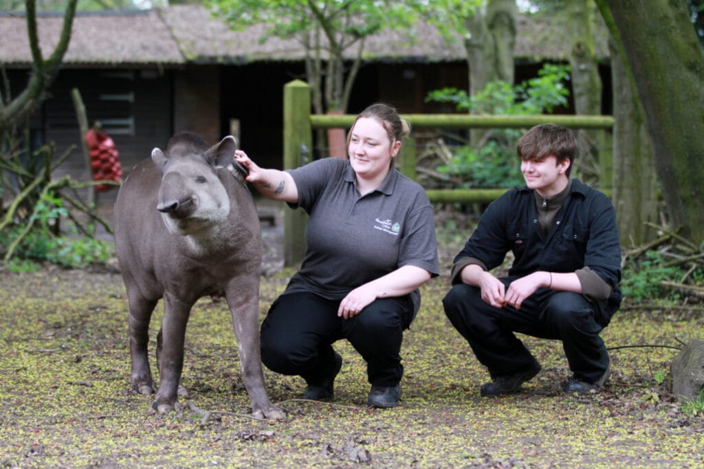 What it’s like to study Animal Management at Reaseheath by Niamh Hearty - Reaseheath Zoo