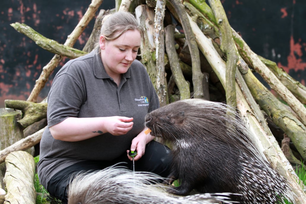 What it’s like to study Animal Management at Reaseheath by Niamh Hearty - Reaseheath Zoo
