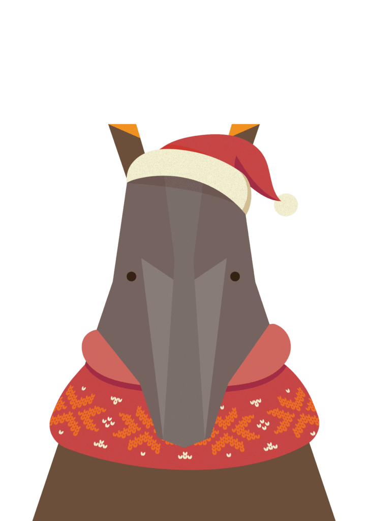 Santa Claus is coming to the zoo! - Reaseheath Zoo